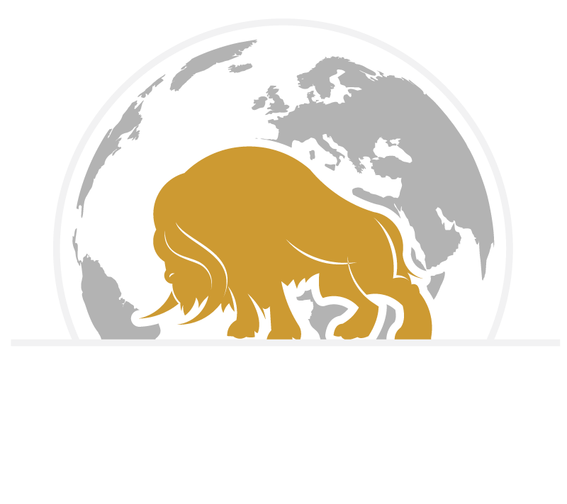 Brownstone-Logo-Light-800 – Brownstone International